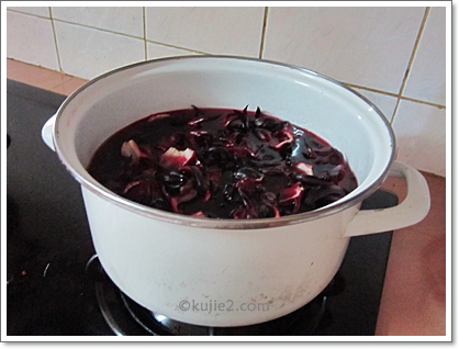 Cara Buat Jus Rozel | Kujie2.com