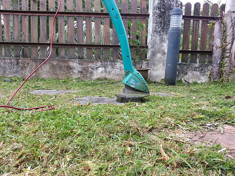 Layu Bunga Digenggam, Layu Rumput Di Halaman | Kujie2.com